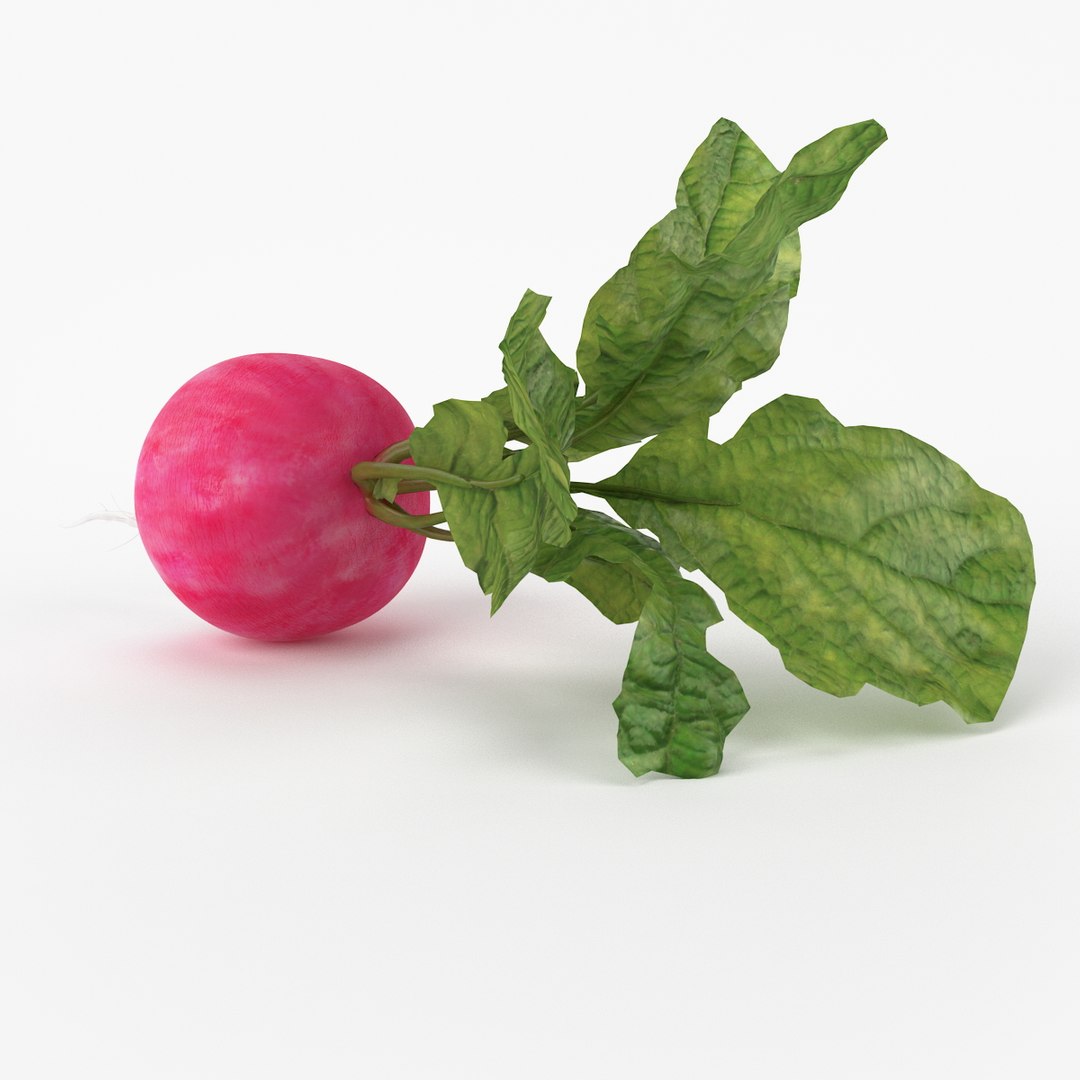 Realistic Red Radish Real 3d Model