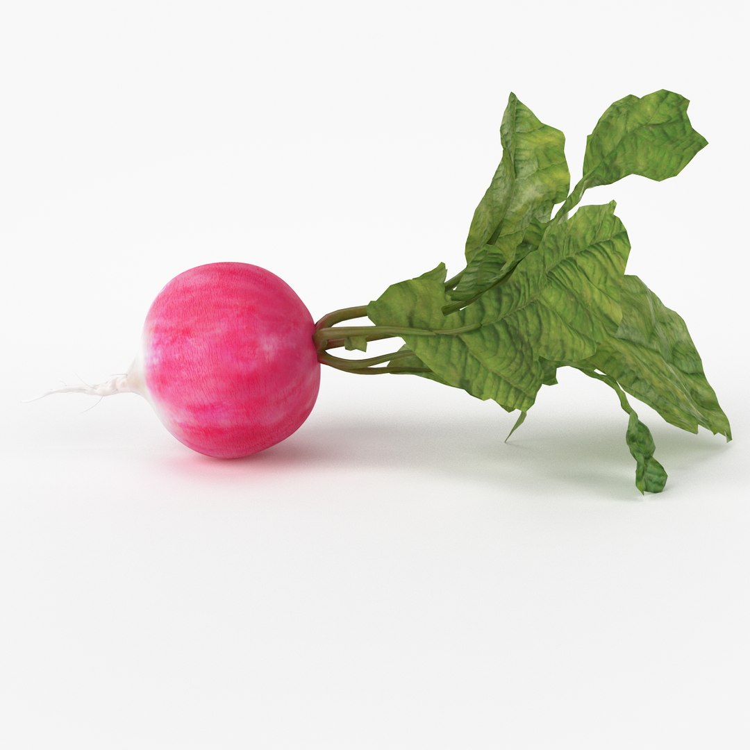Realistic Red Radish Real 3d Model