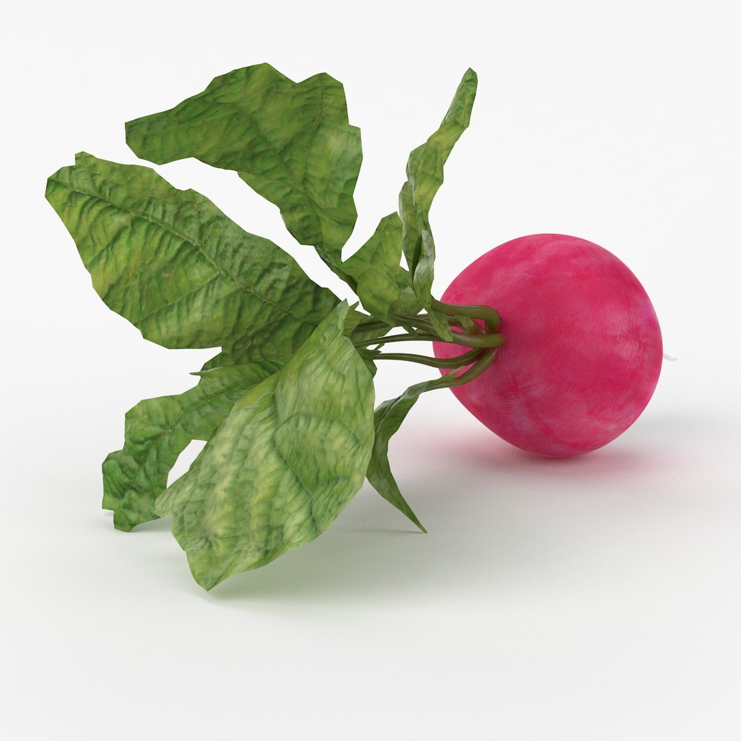 Realistic Red Radish Real 3d Model