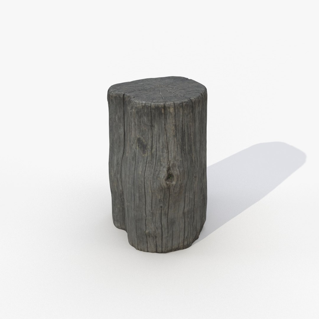 Scanned Wood Log 3D Model - TurboSquid 1234364