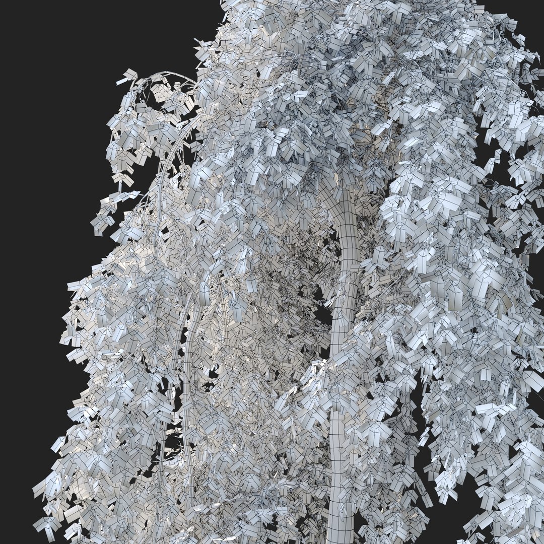 3D Model Two Weeping Tree - TurboSquid 1949439