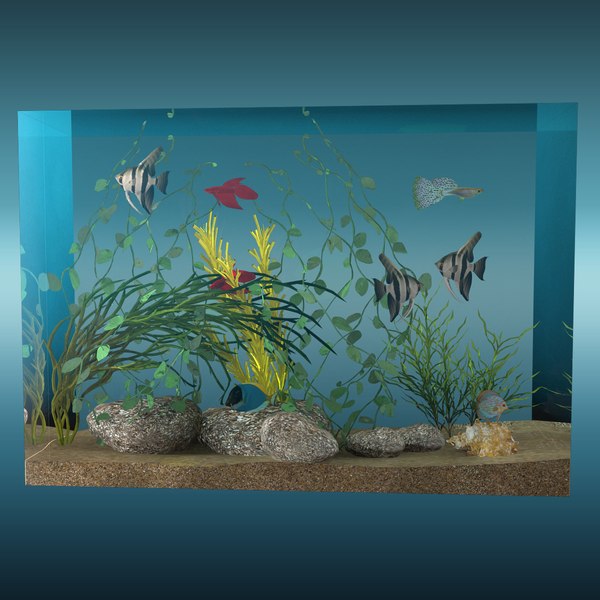 3D 3ds Max aquarium fish water
