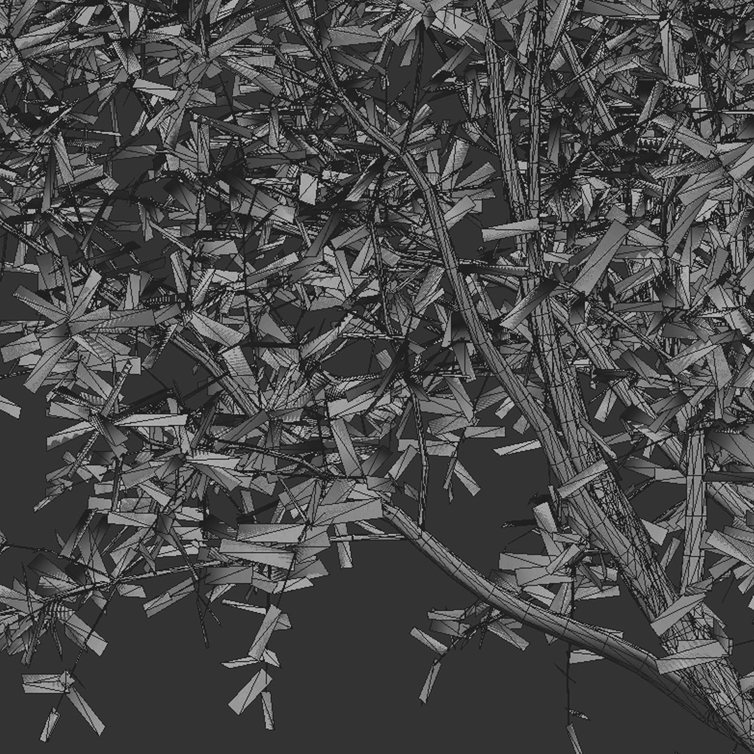 Set Of Broad Leaved Paperbark Trees Melaleuca Quinquenervia 3 Trees 3D ...