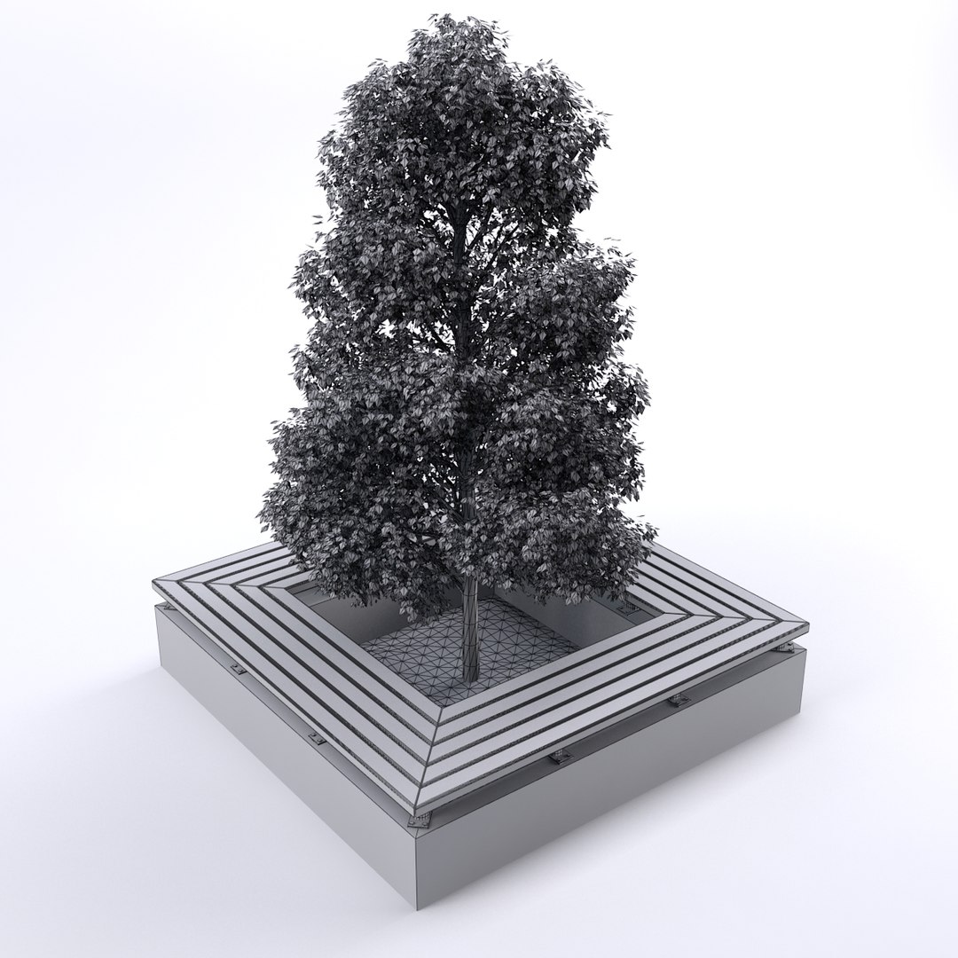 3d Bench Tree