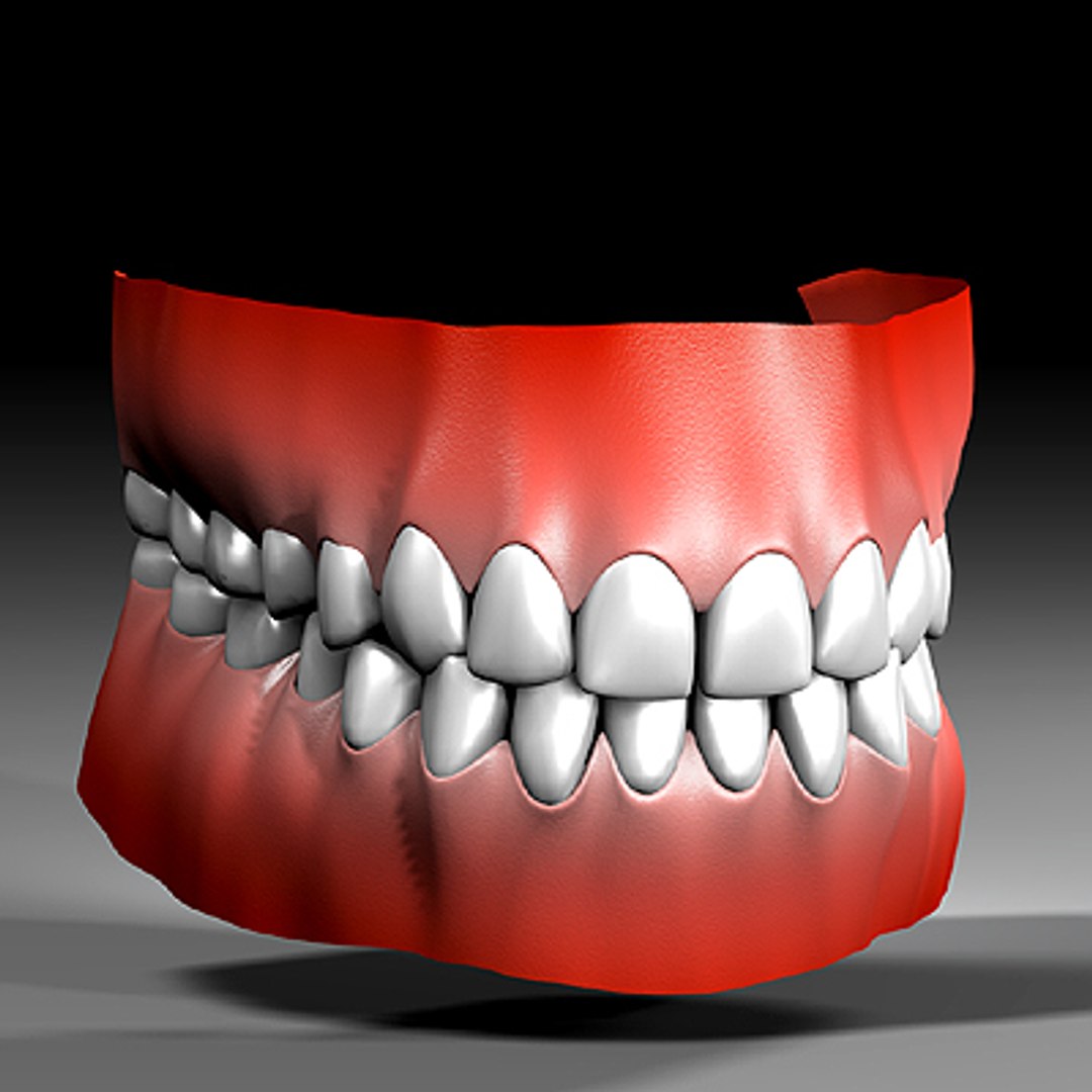 3d Model Human Mouth