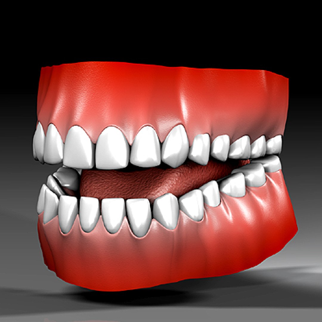 3d Model Human Mouth