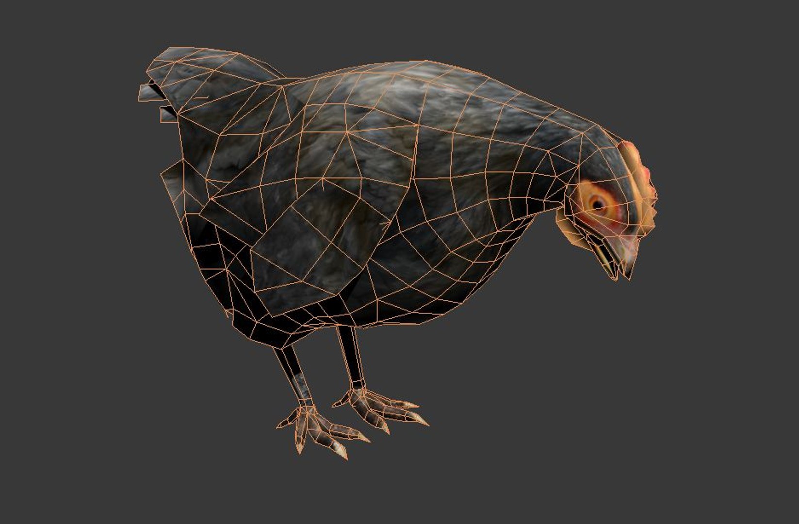 Maya Chicken Rooster