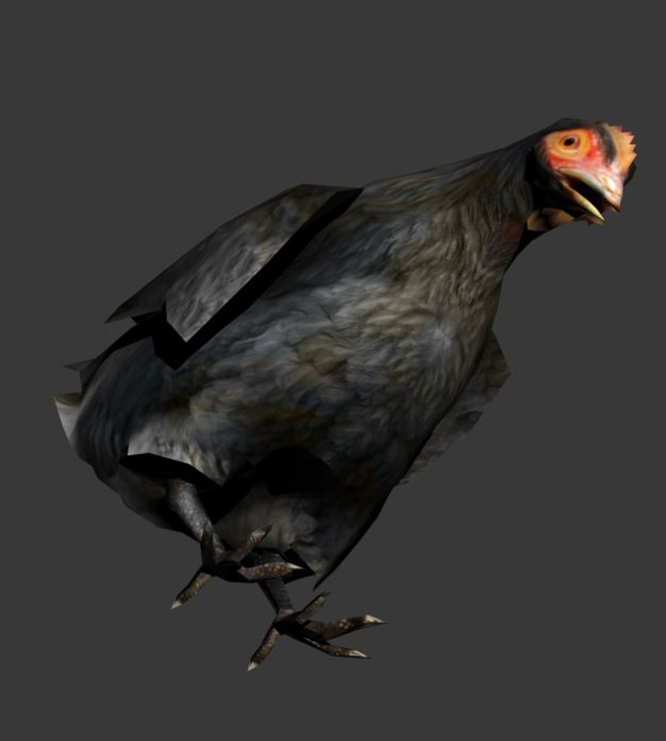 Maya Chicken Rooster