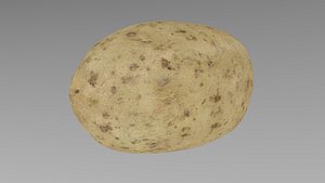 Free 3D Potato Models - Available For Download On TurboSquid