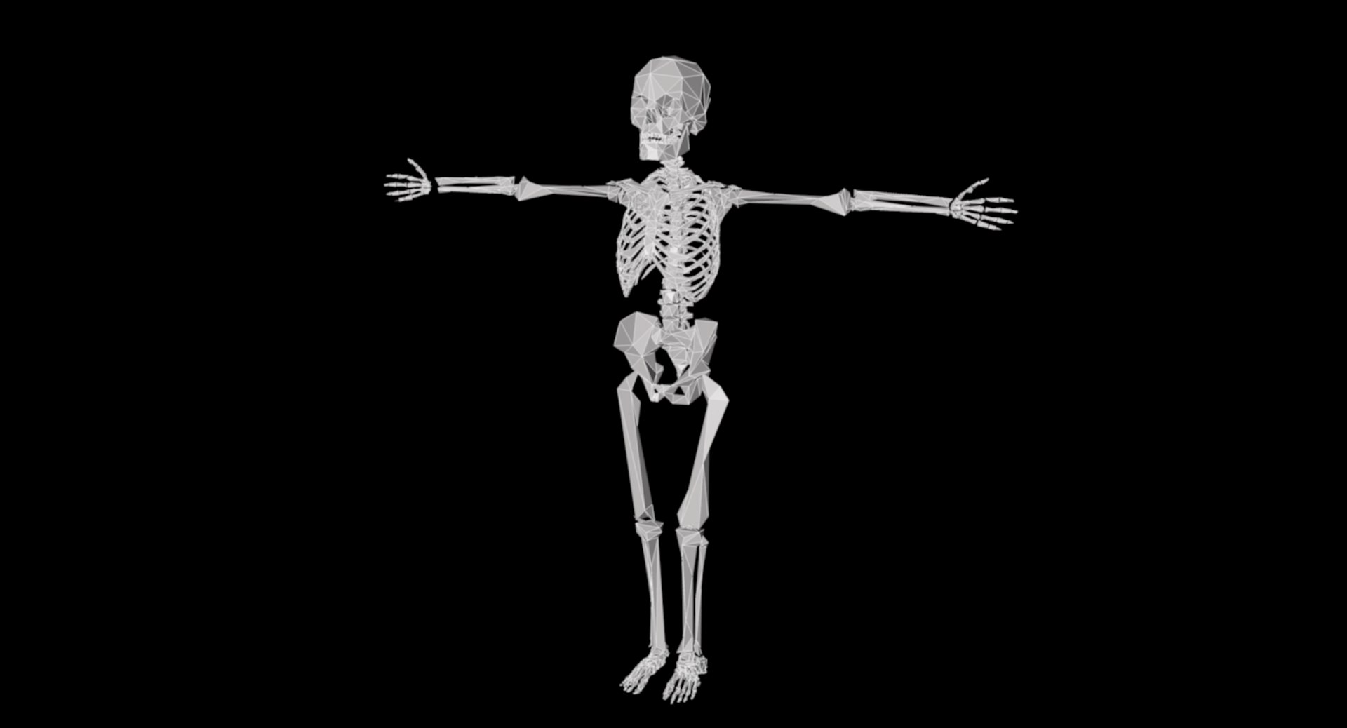 Stylized Rigged Skeleton Animation 3d X