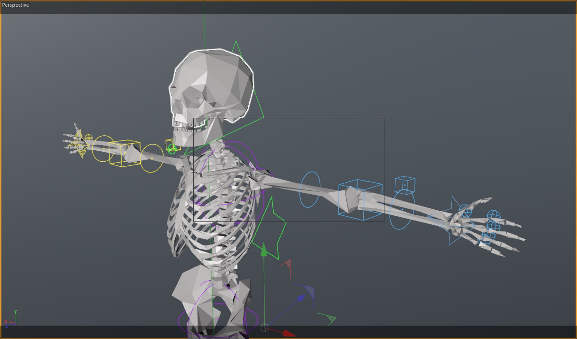 Stylized Rigged Skeleton Animation 3d X