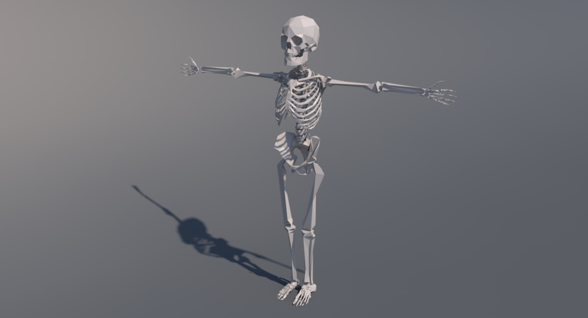 Stylized Rigged Skeleton Animation 3d X