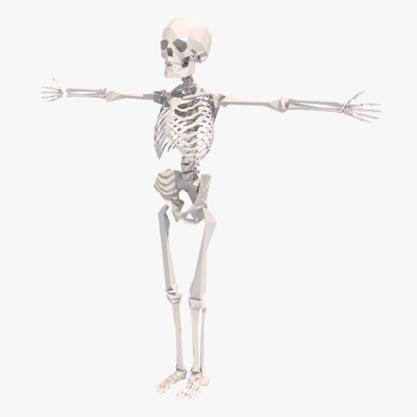 Animated Human Skeleton 3D Models for Download | TurboSquid