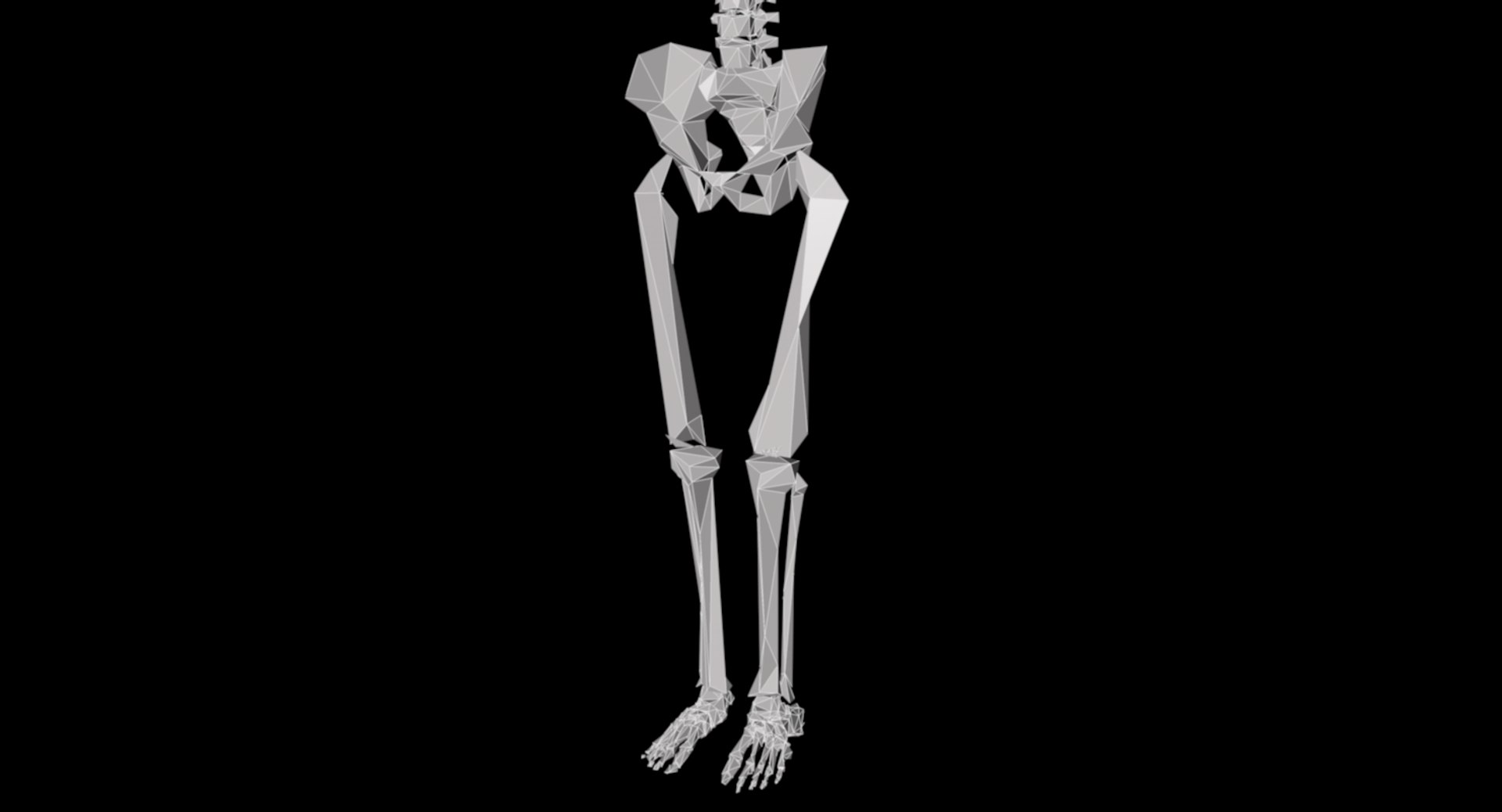 Stylized Rigged Skeleton Animation 3d X