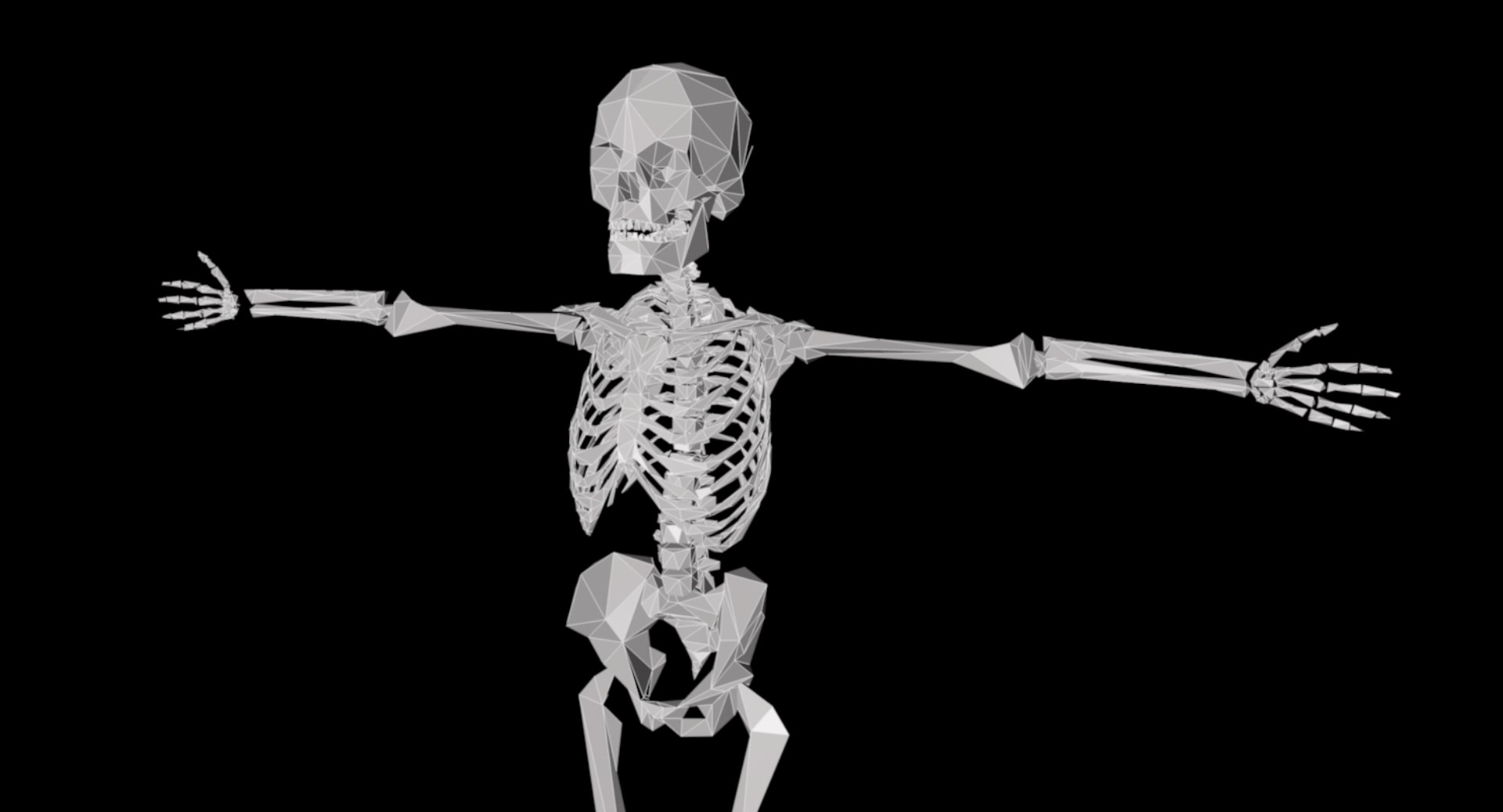 Stylized Rigged Skeleton Animation 3d X
