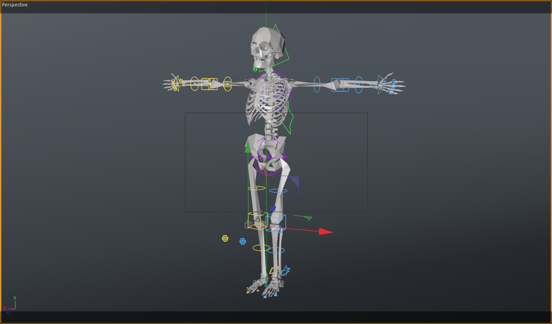 Stylized Rigged Skeleton Animation 3d X