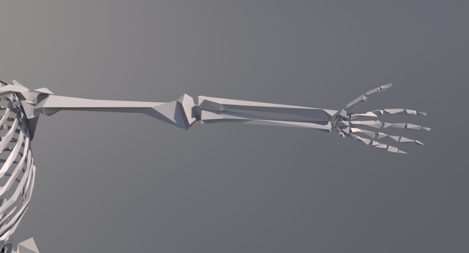 Stylized Rigged Skeleton Animation 3d X