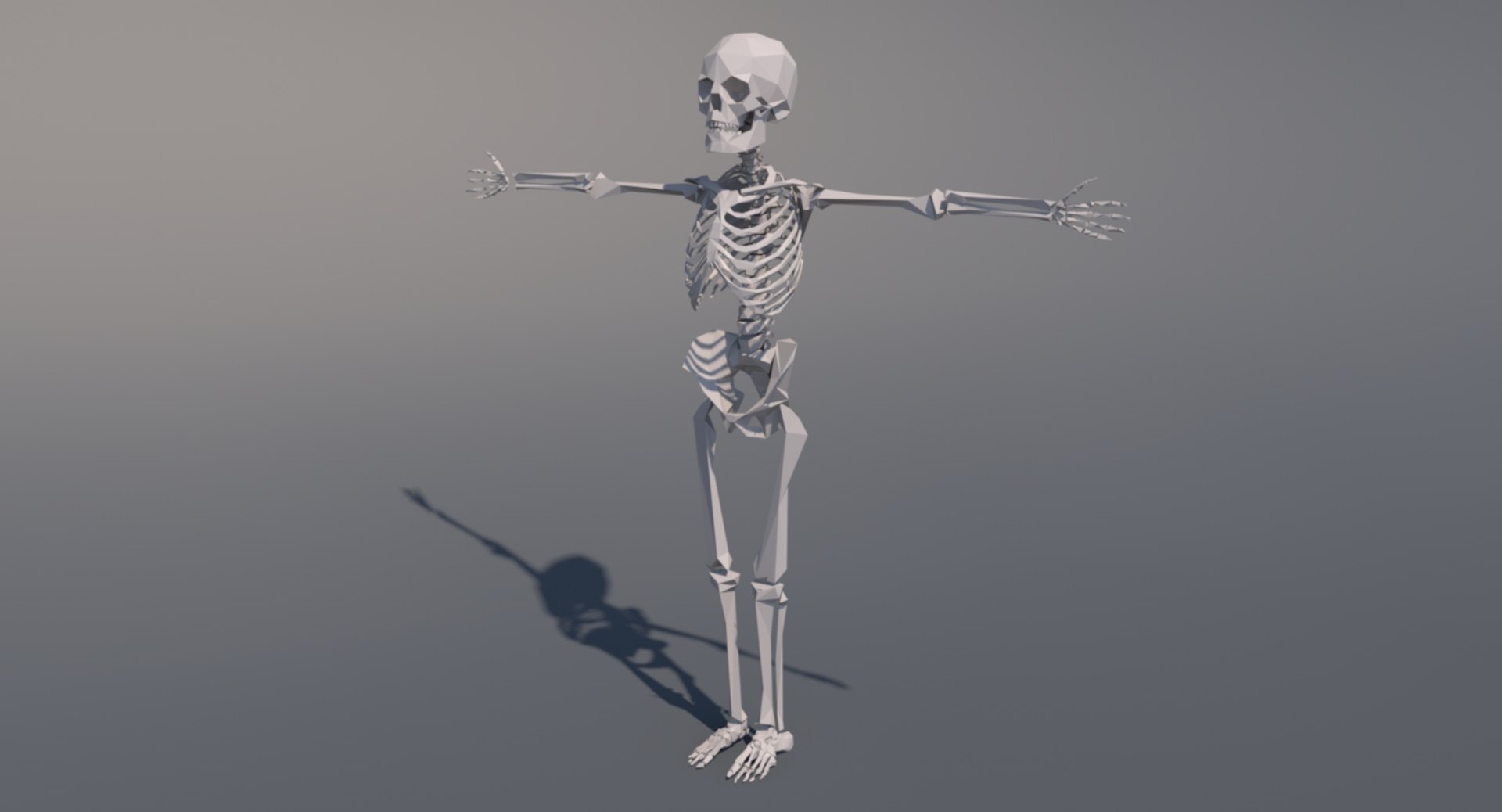 Stylized Rigged Skeleton Animation 3d X
