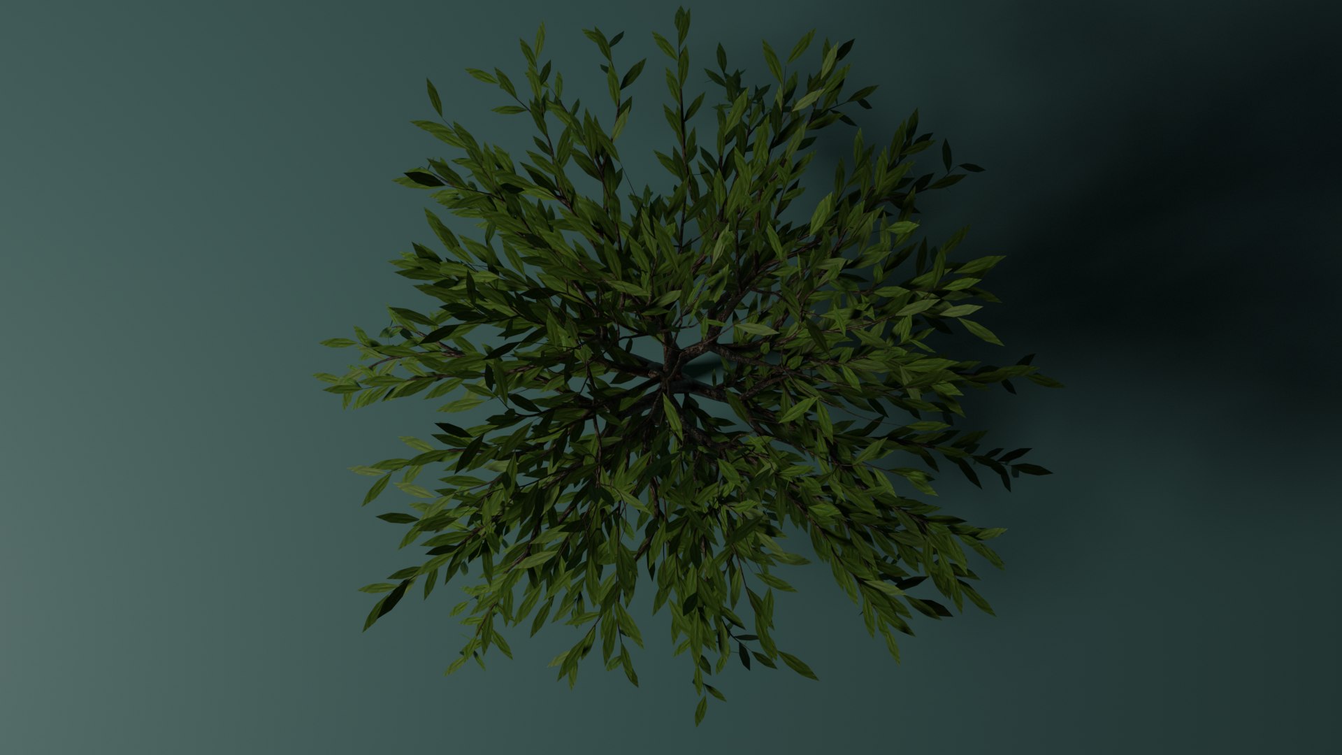 3D Beautiful Tree Model - TurboSquid 1486113