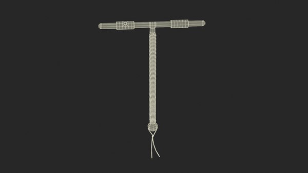 3D Copper Intrauterine Device T-IUD model - TurboSquid 1926857