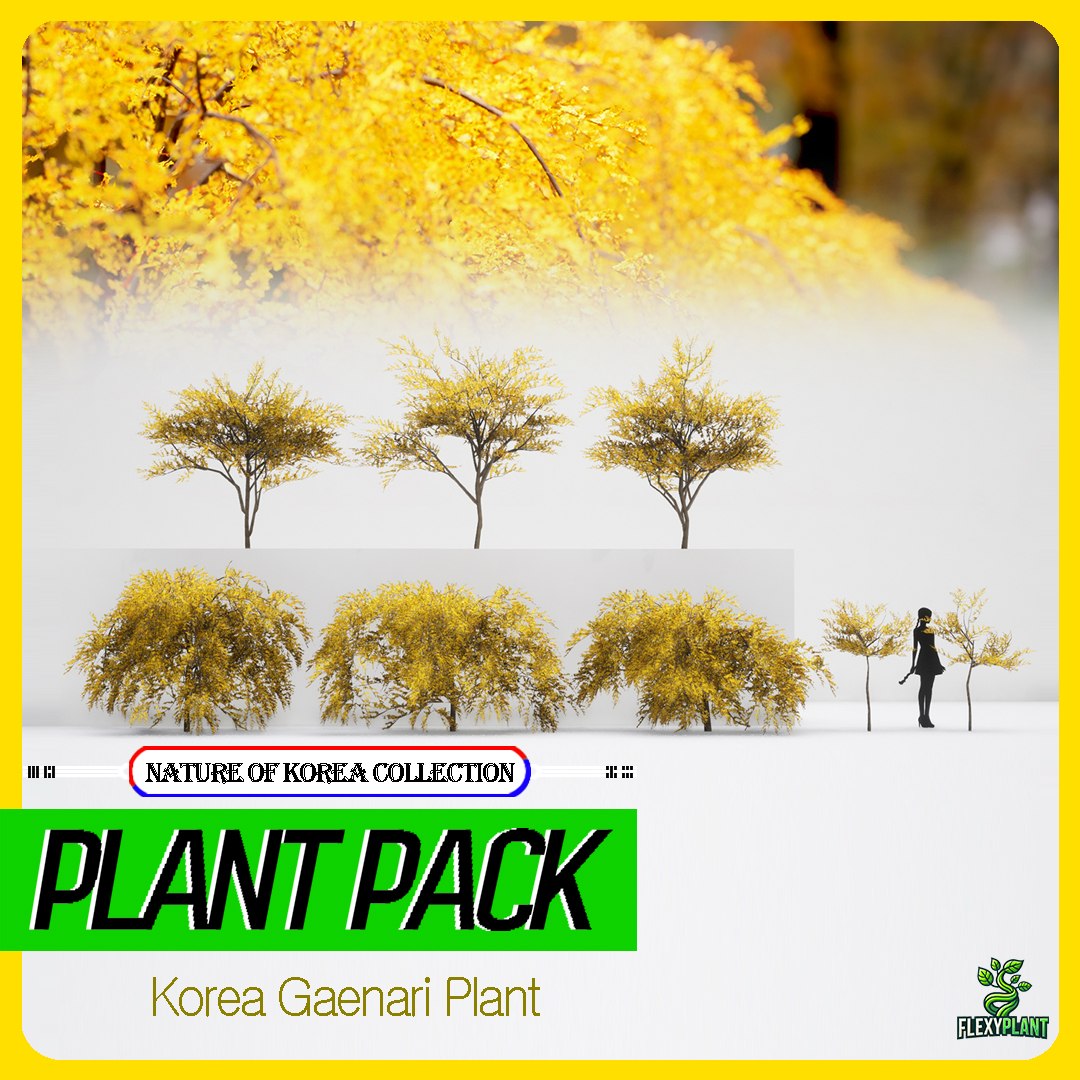 3D Model 5 Realistic Korean Gaenari Bush Roadside Trees - TurboSquid ...