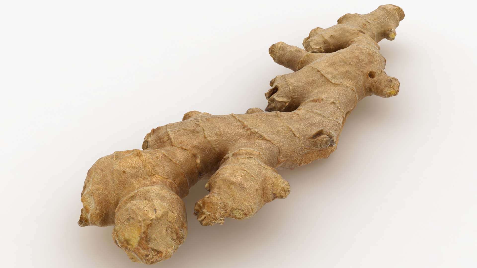 Ginger Set 02 3D model - TurboSquid 1753652