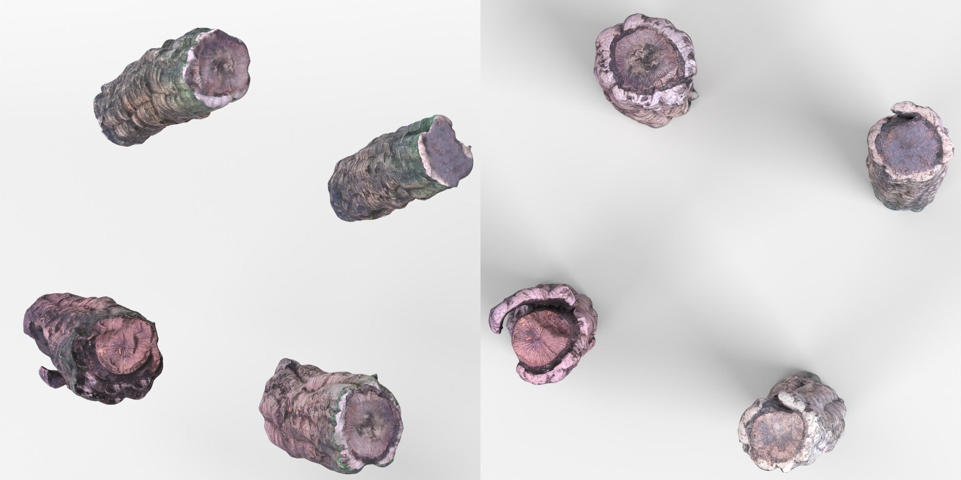 3D Model 4 Wood Logs - TurboSquid 2400262