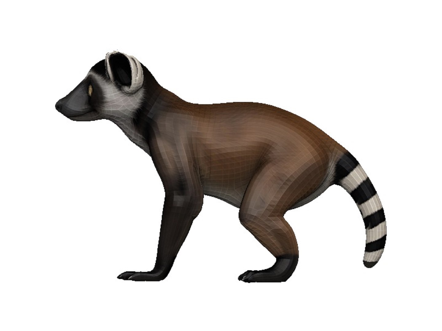 Lemur 3D Model - TurboSquid 2435160