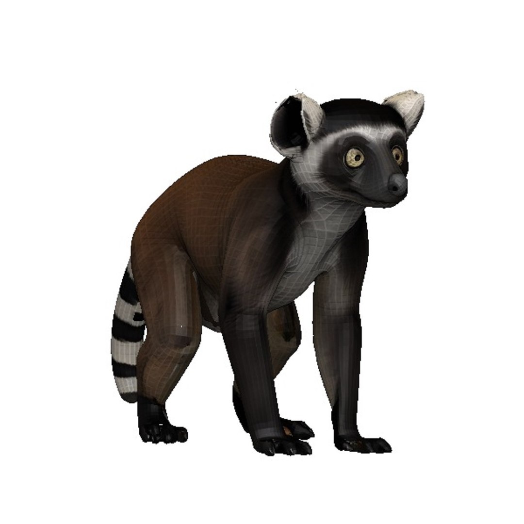 Lemur 3D Model - TurboSquid 2435160