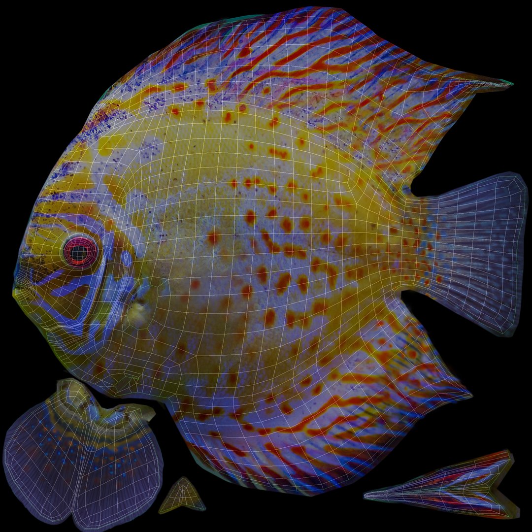 Discus fish 3D - TurboSquid 1293064