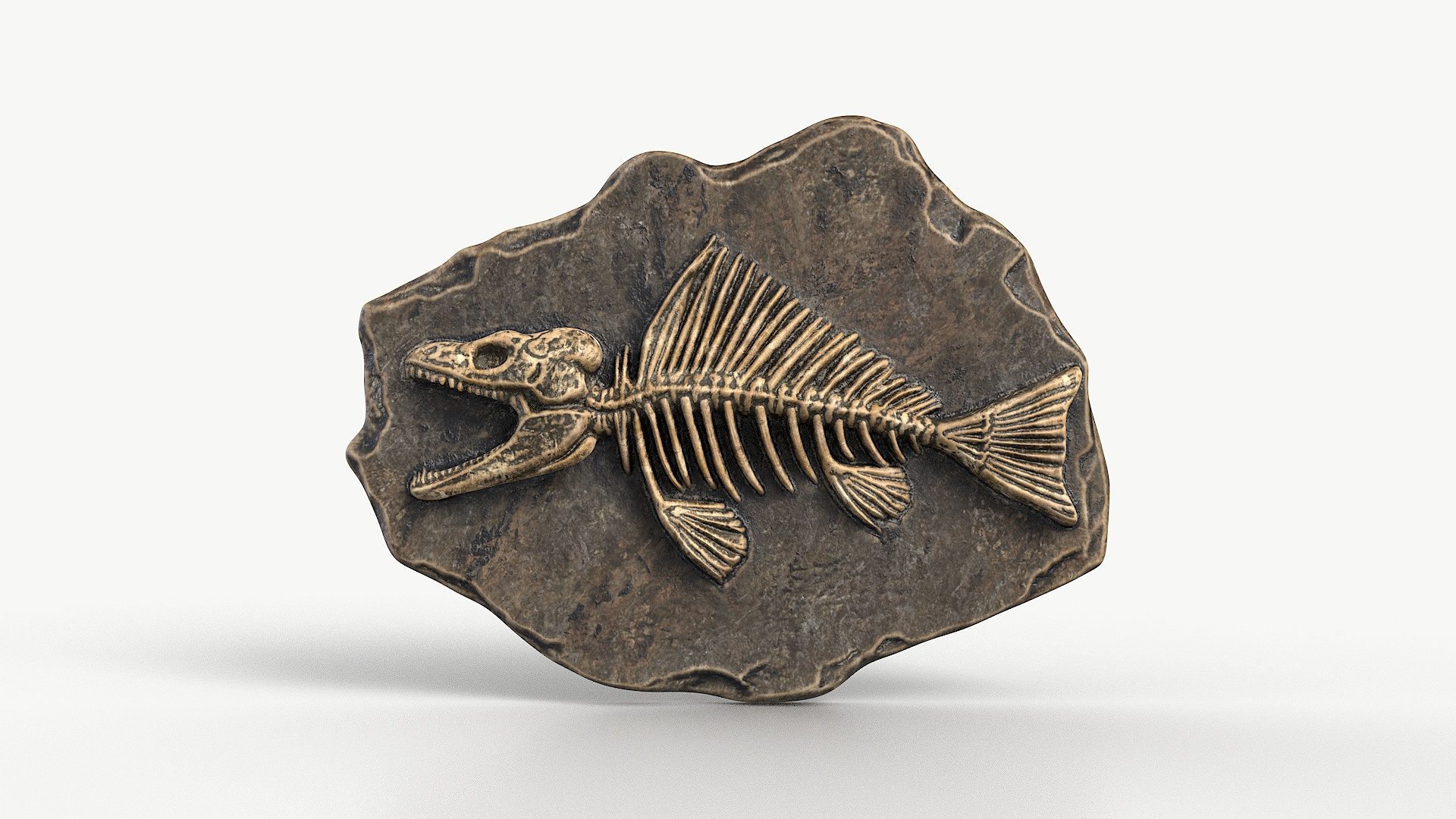9 Textured Prehistoric Fish Skeleton Fossils Collection 3D - TurboSquid ...