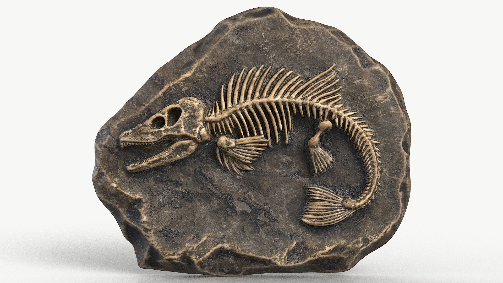 9 Textured Prehistoric Fish Skeleton Fossils Collection 3D - TurboSquid ...