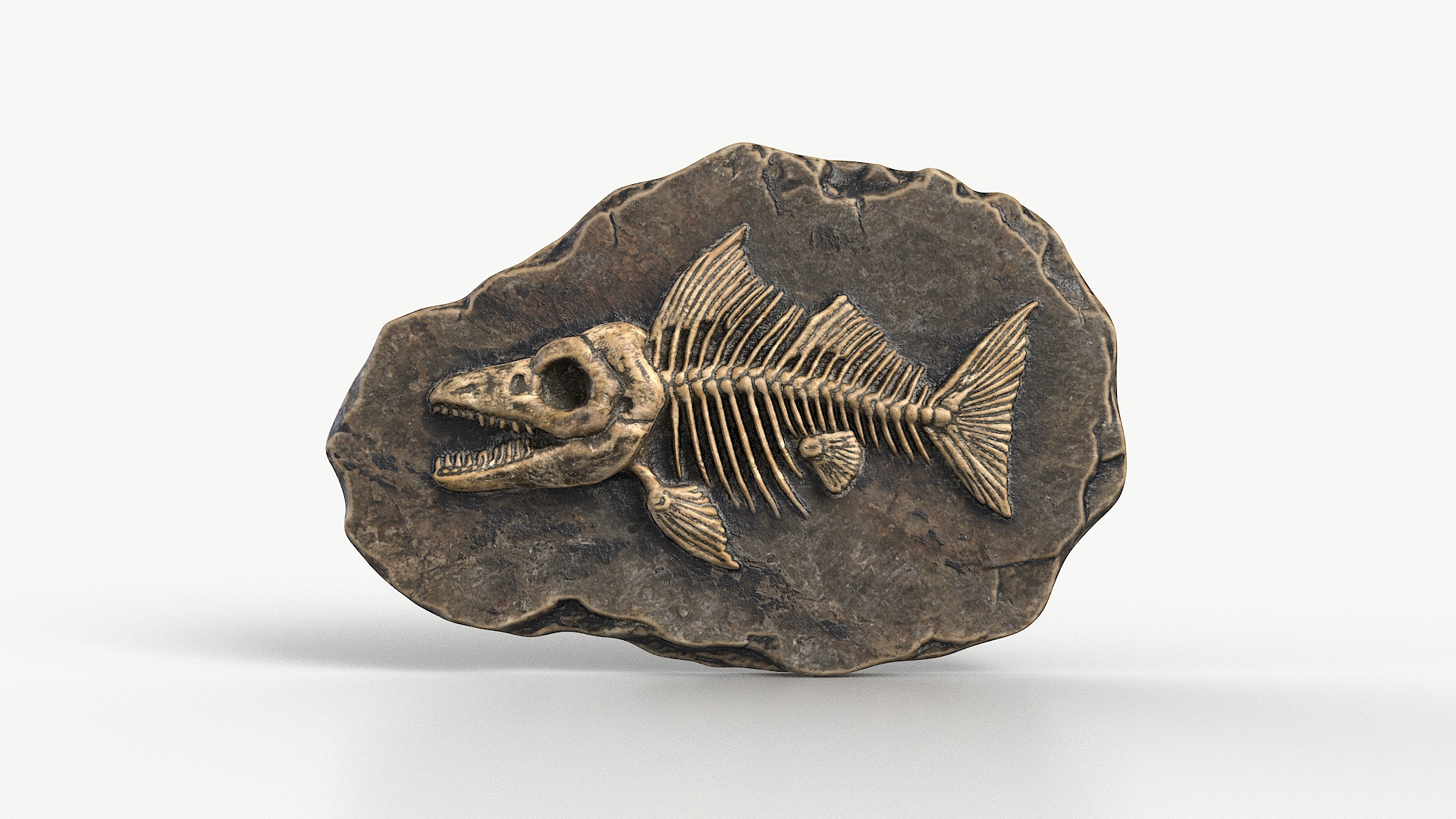 9 Textured Prehistoric Fish Skeleton Fossils Collection 3D - TurboSquid ...