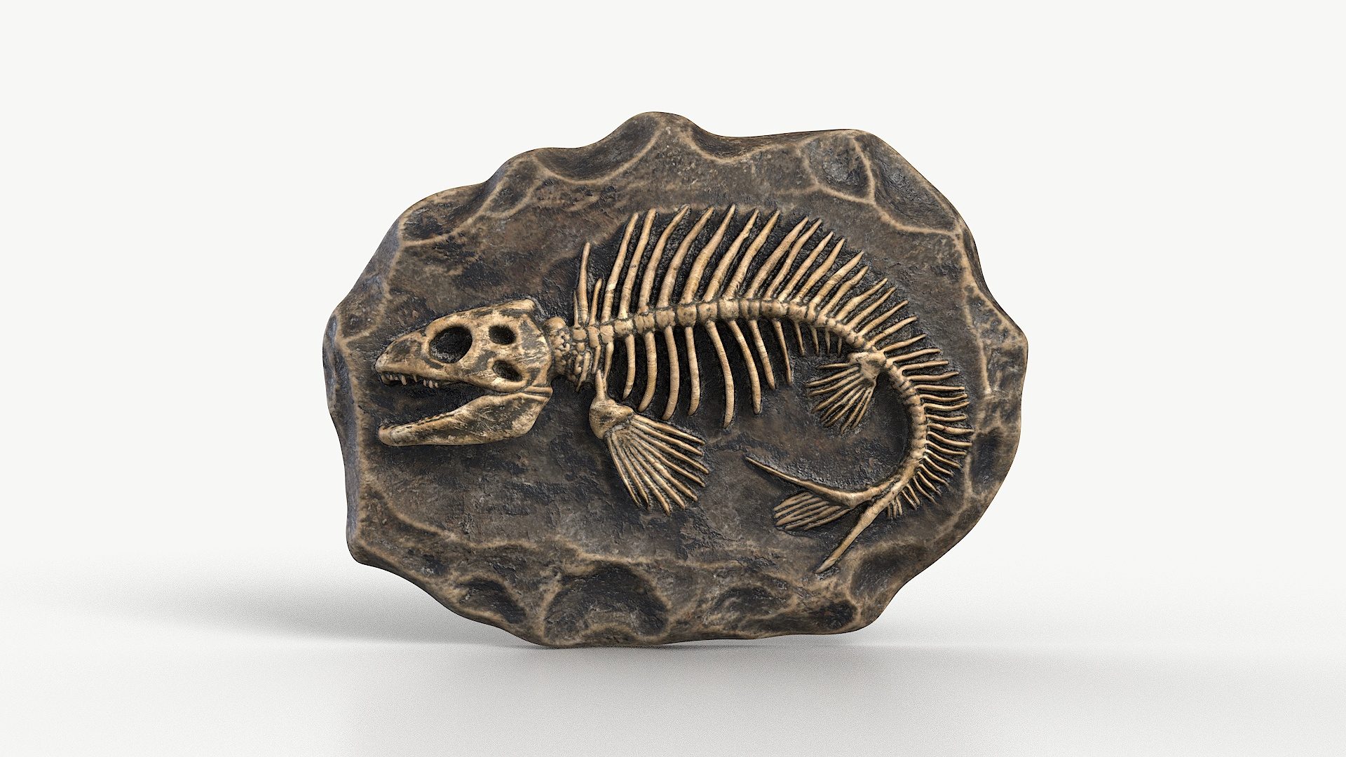 9 Textured Prehistoric Fish Skeleton Fossils Collection 3D - TurboSquid ...