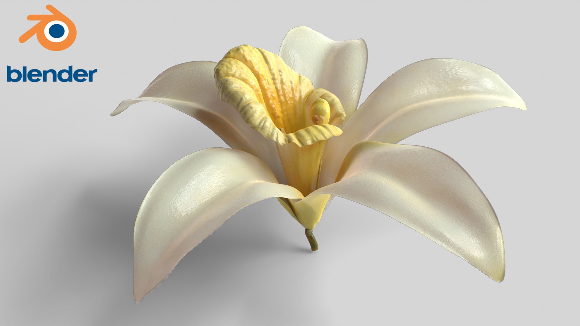 Vanilla Flower 3D Model - TurboSquid 2126798