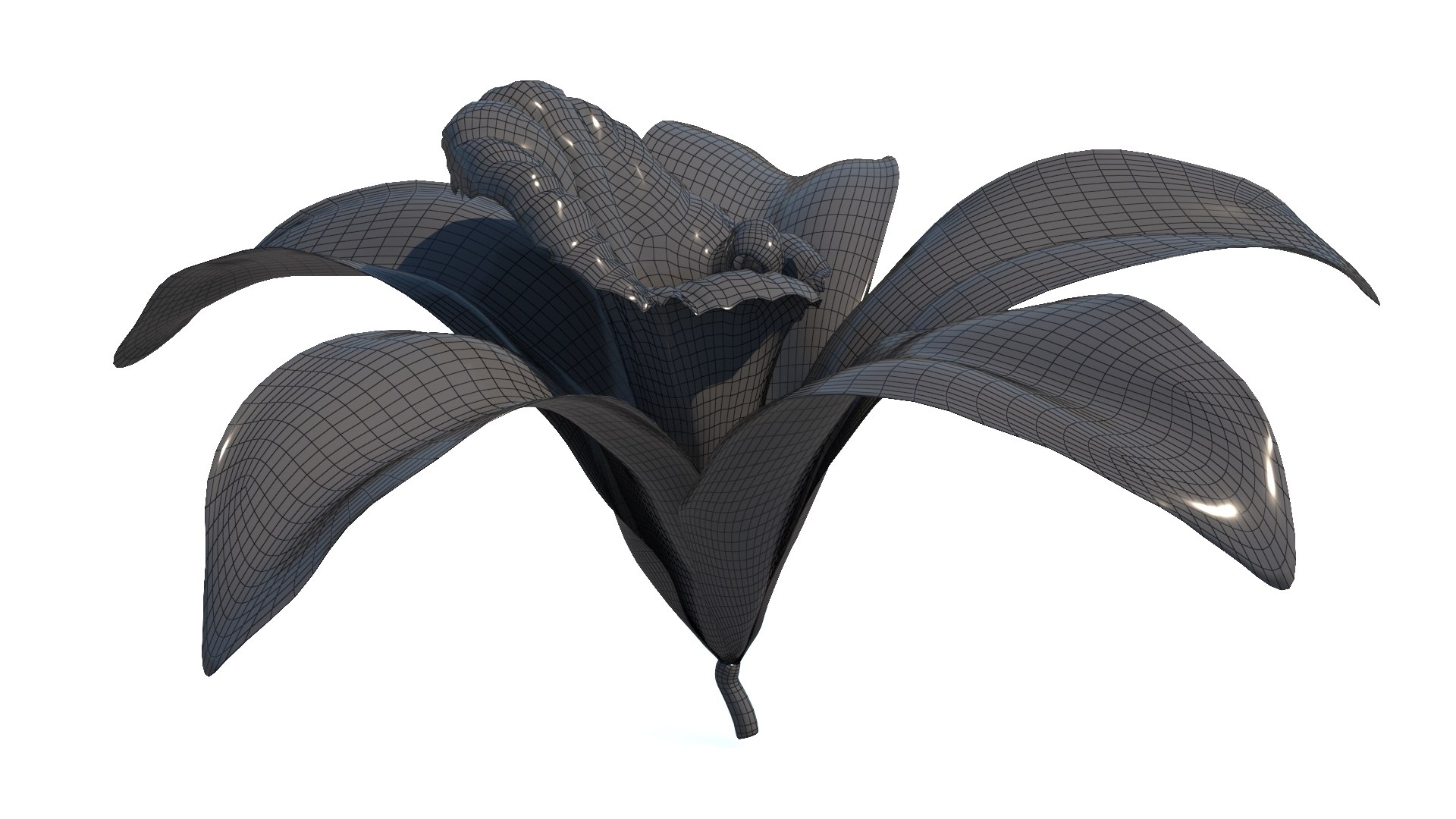 Vanilla Flower 3D Model - TurboSquid 2126798