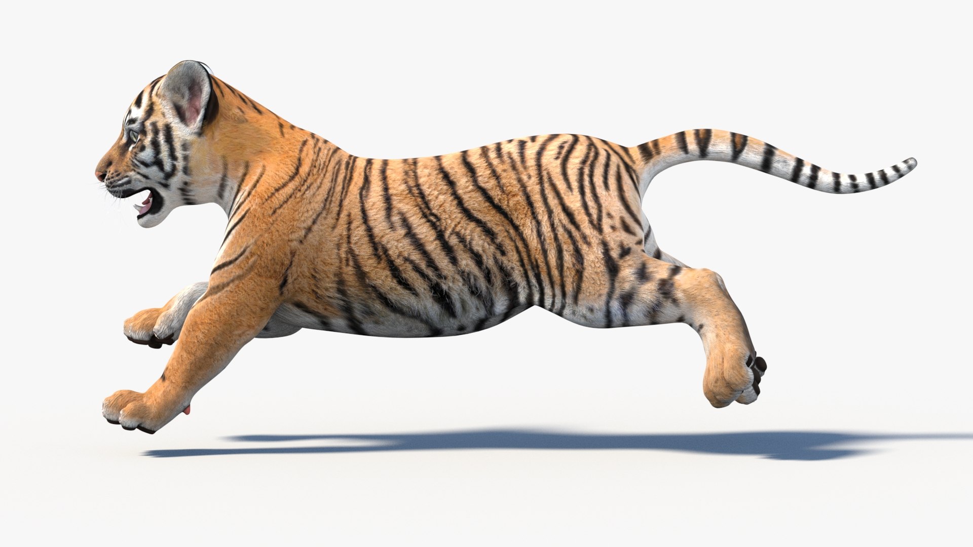 Animated Tiger Cub 3D Model 3D Model - TurboSquid 2332880