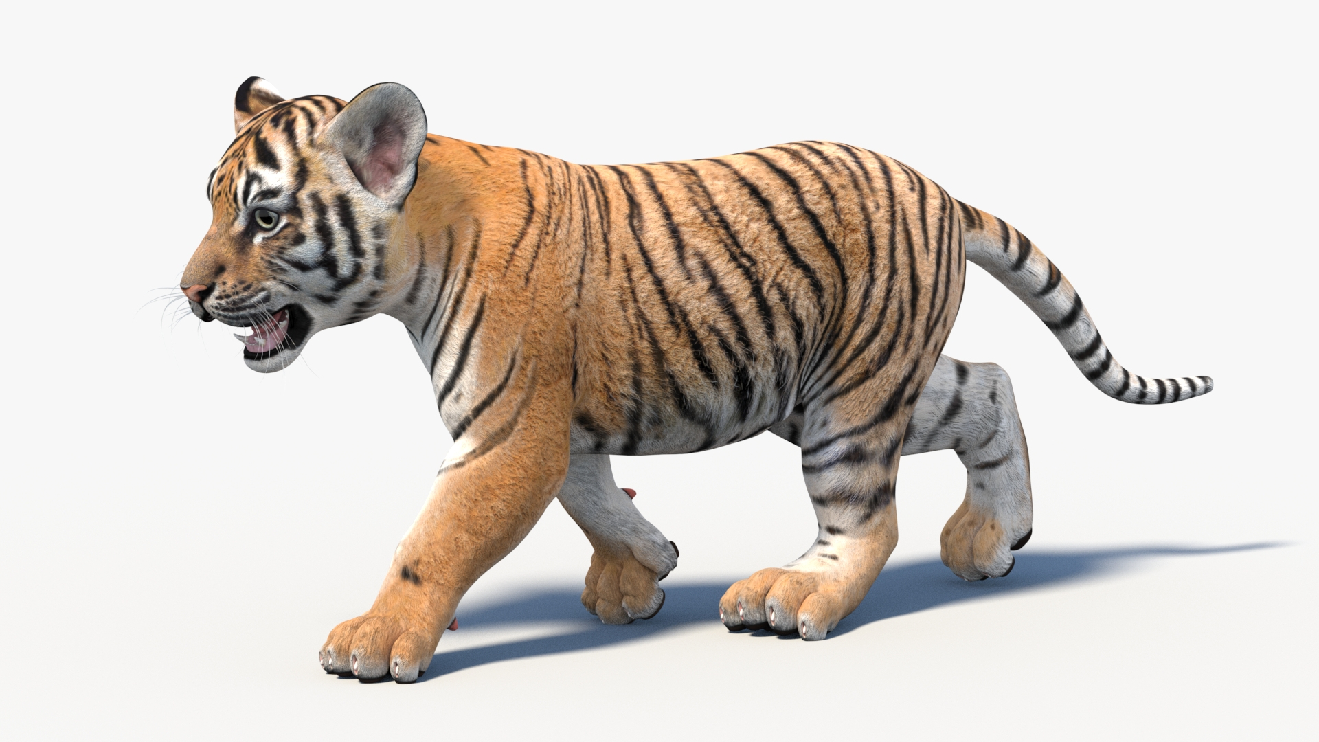 Animated Tiger Cub 3D Model 3D Model - TurboSquid 2332880