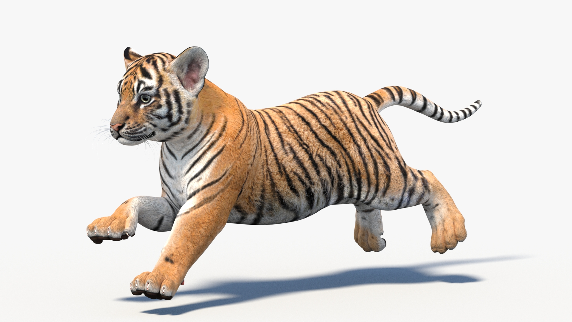 Animated Tiger Cub 3D Model 3D Model - TurboSquid 2332880