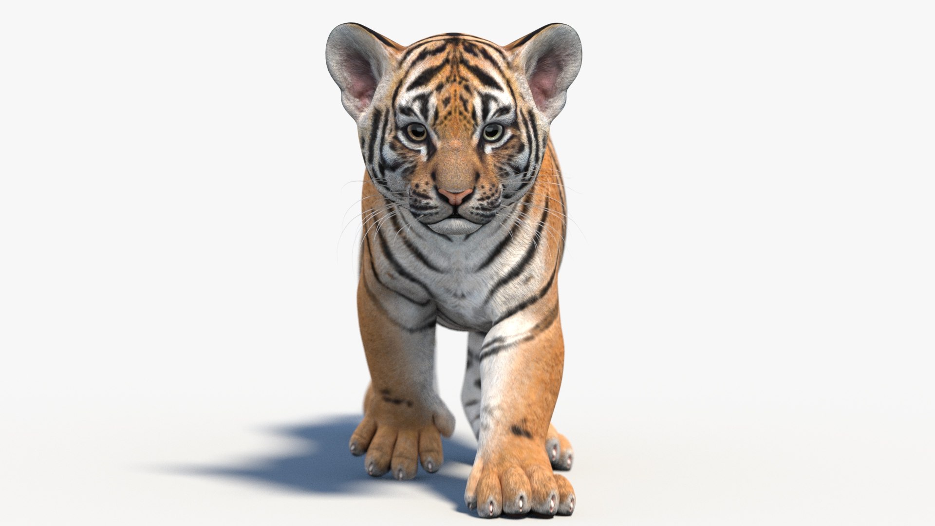 Animated Tiger Cub 3D Model 3D Model - TurboSquid 2332880