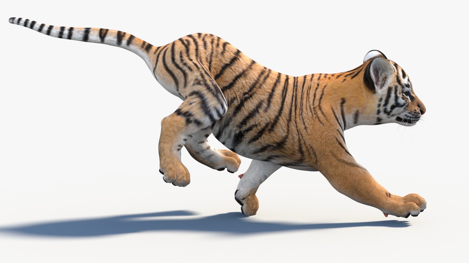 Animated Tiger Cub 3D Model 3D Model - TurboSquid 2332880