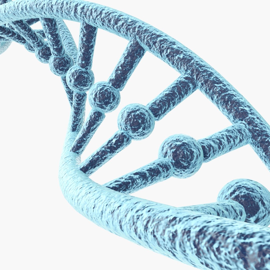 3D dna set model - TurboSquid 1163514
