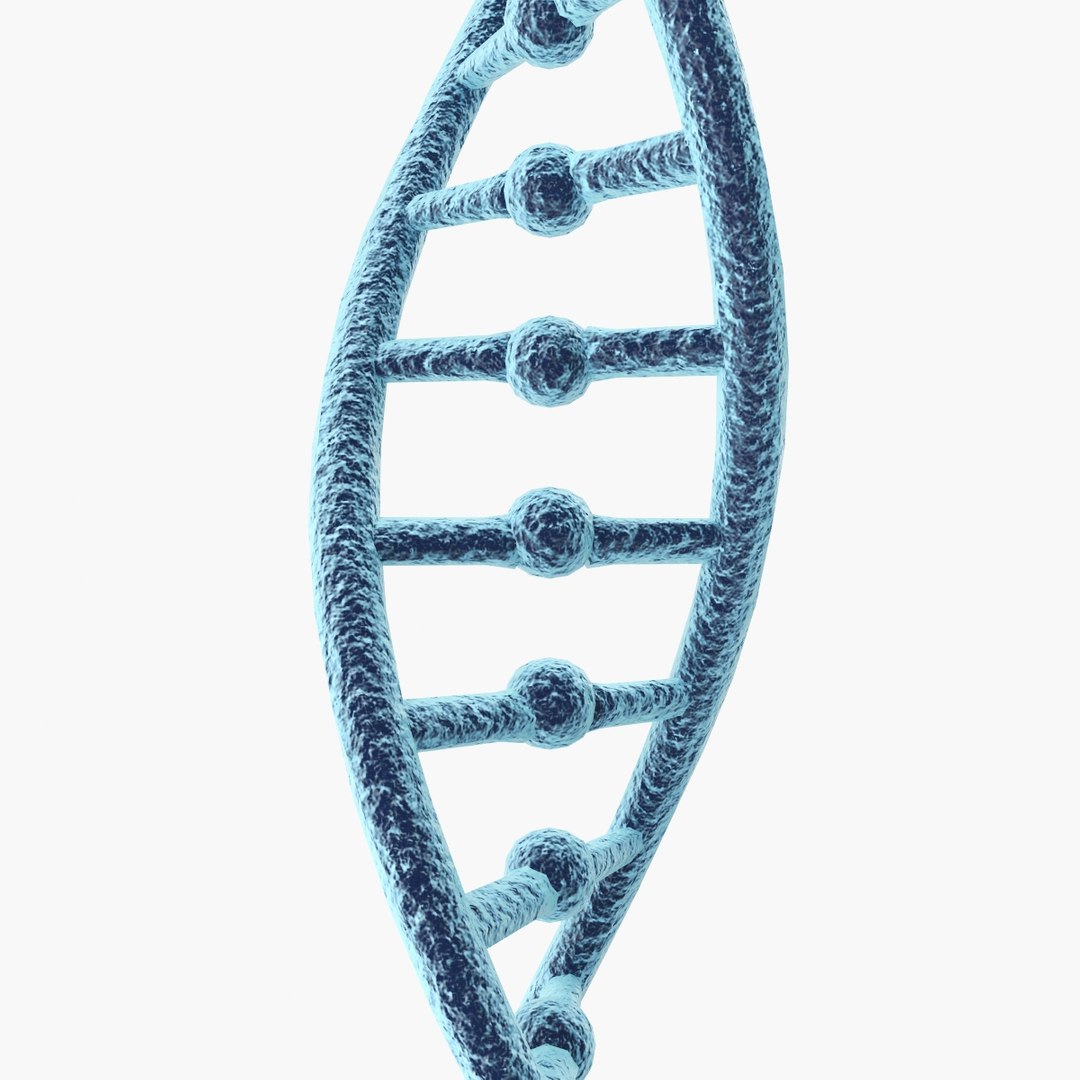 3D dna set model - TurboSquid 1163514