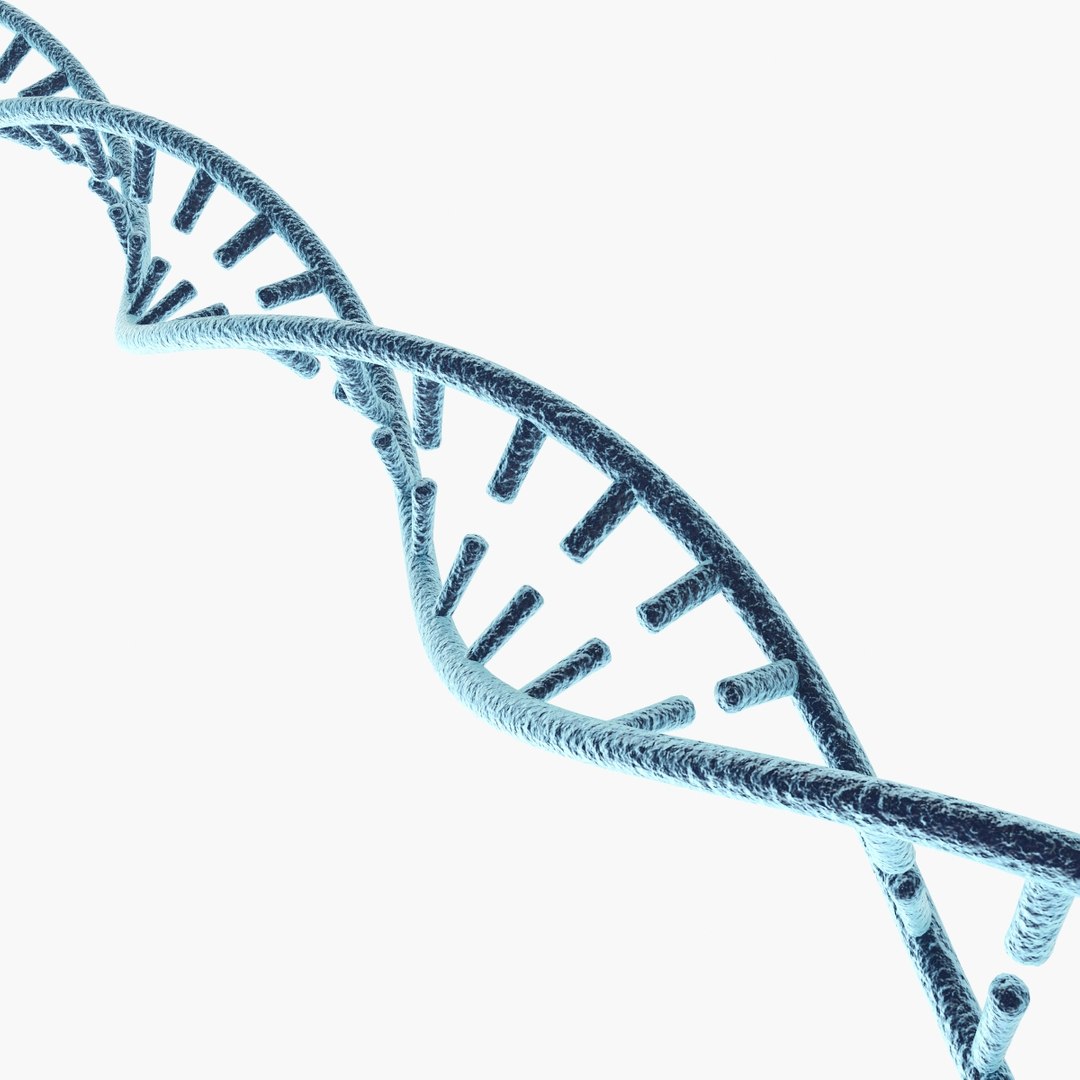 3D dna set model - TurboSquid 1163514