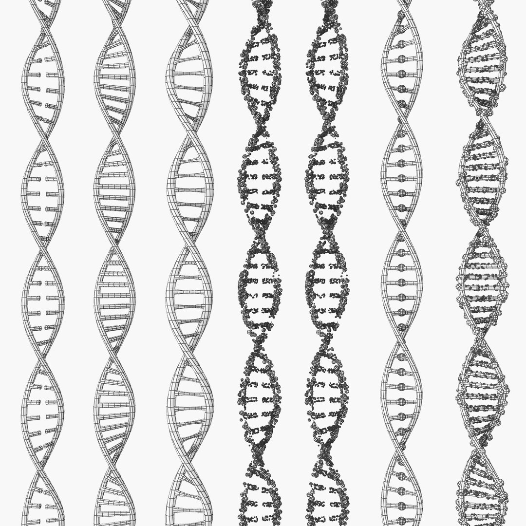 3D dna set model - TurboSquid 1163514