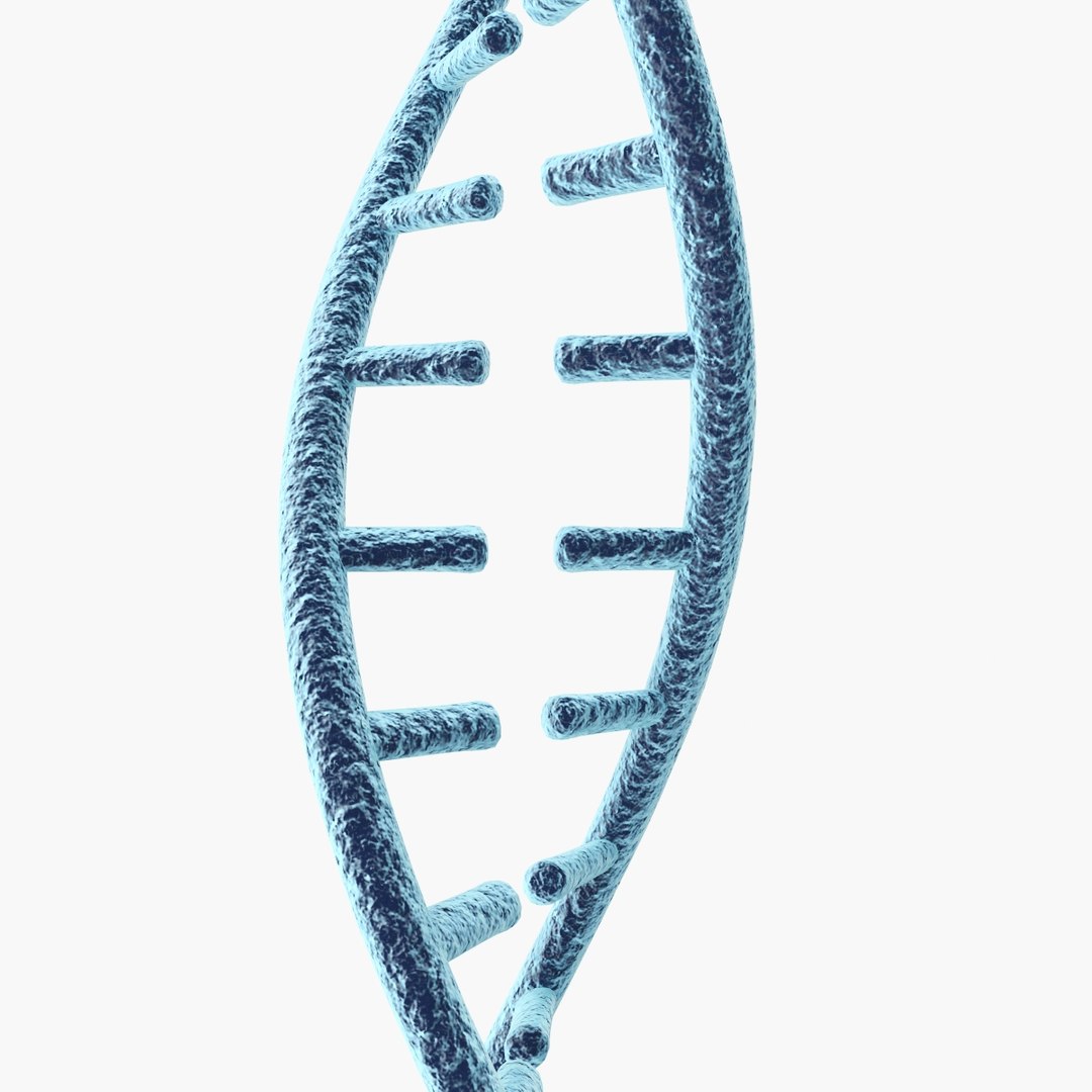 3D dna set model - TurboSquid 1163514