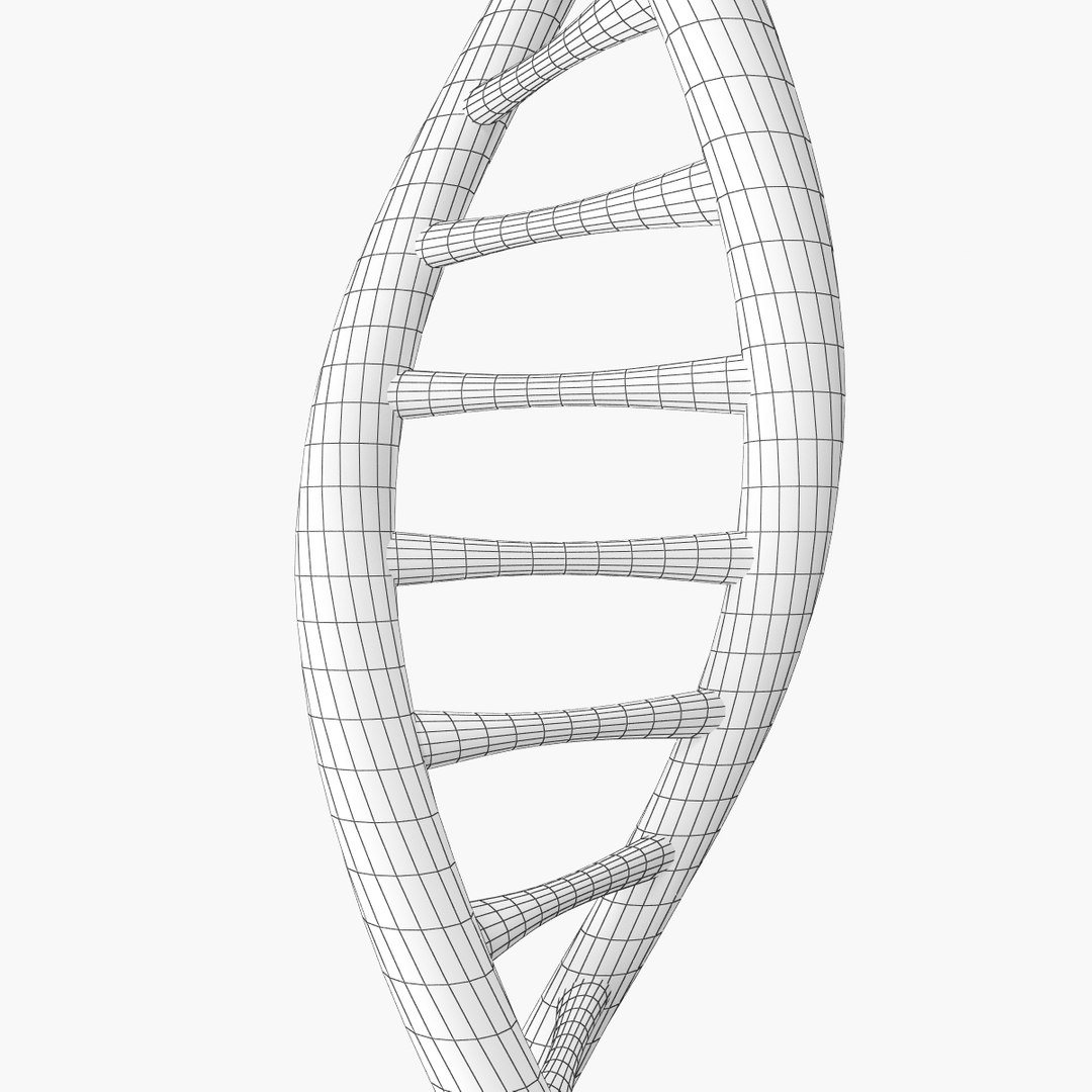 3D dna set model - TurboSquid 1163514