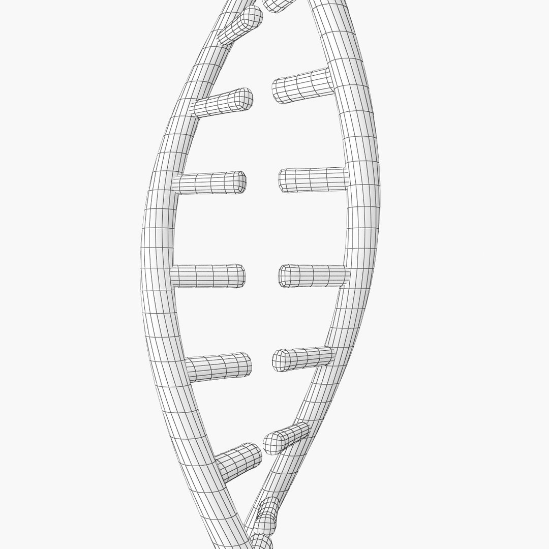 3D dna set model - TurboSquid 1163514
