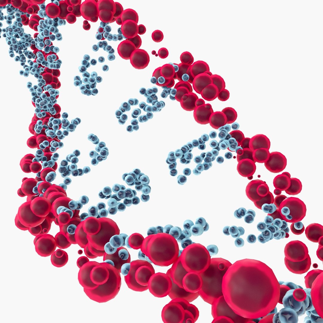 3D dna set model - TurboSquid 1163514