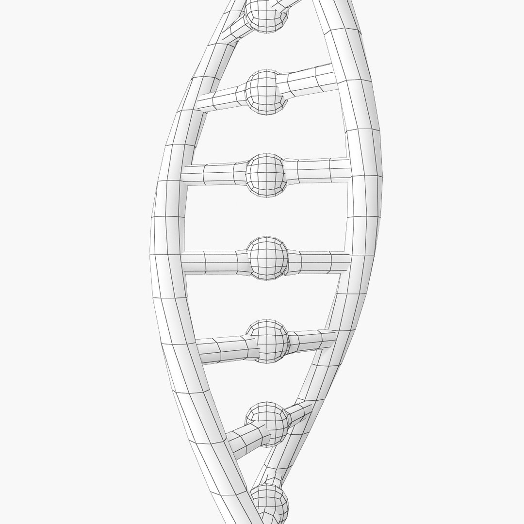 3D dna set model - TurboSquid 1163514